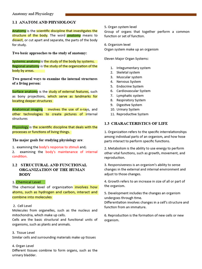 Anatomy and Physiology Notes (AutoRecovered) | PDF | Human Body | Anatomy