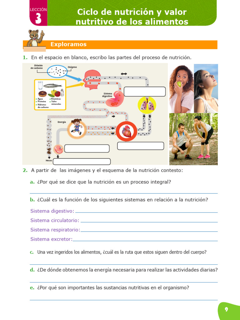 Actividad 5. Ciclo de la Nutrición (1) | PDF