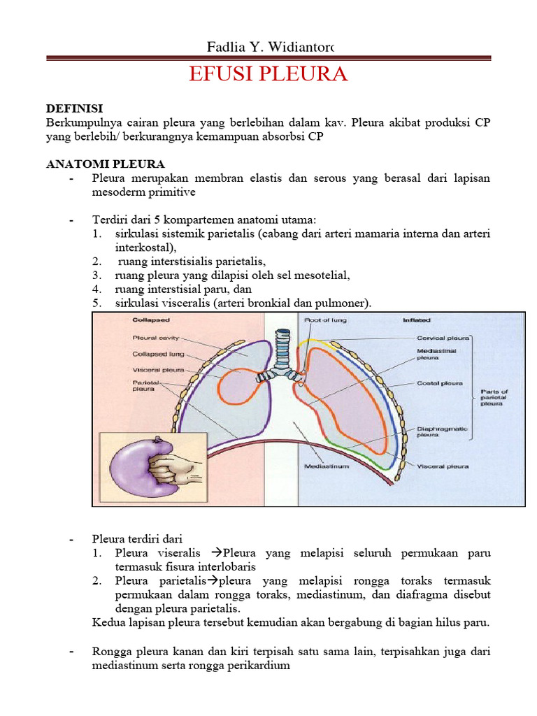 Panduan Lengkap Efusi Pleura dan Diagnosanya | PDF | Kesehatan Holistik