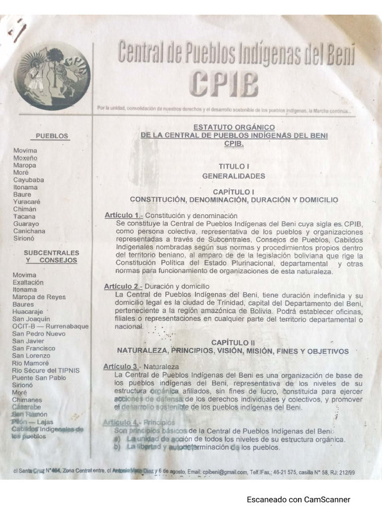 Estatuto Cpib | PDF