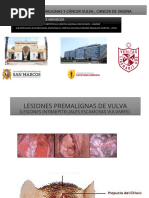 Incisión de Pfannenstiel: Técnica y Ventajas | PDF | Pelvis | Vagina