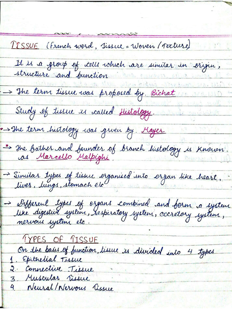 Tissue Handwritten | PDF