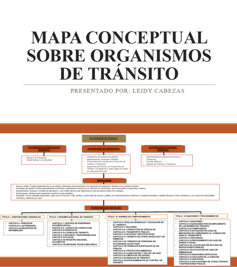 Mapa Conceptual Sobre Organismos de Tránsito | PDF | Transporte | Peatonal