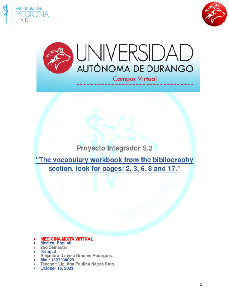 Proyecto Integrador S.2 English Med | PDF