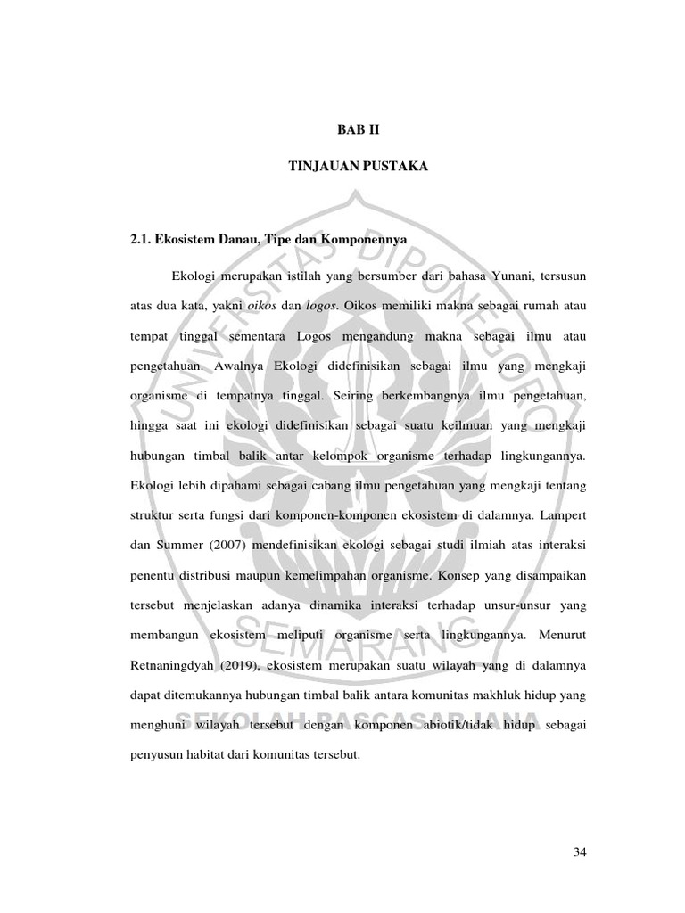 Bab II Tinjauan Pustaka Disertasi | PDF