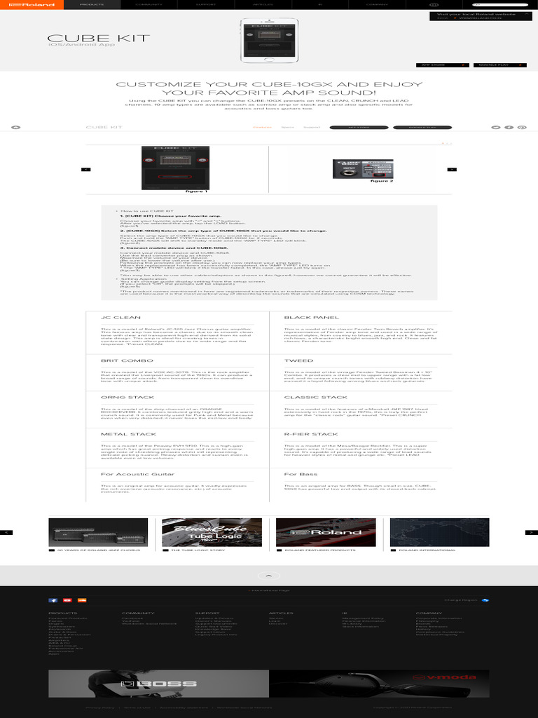 Customize Your CUBE-10GX Amp | PDF