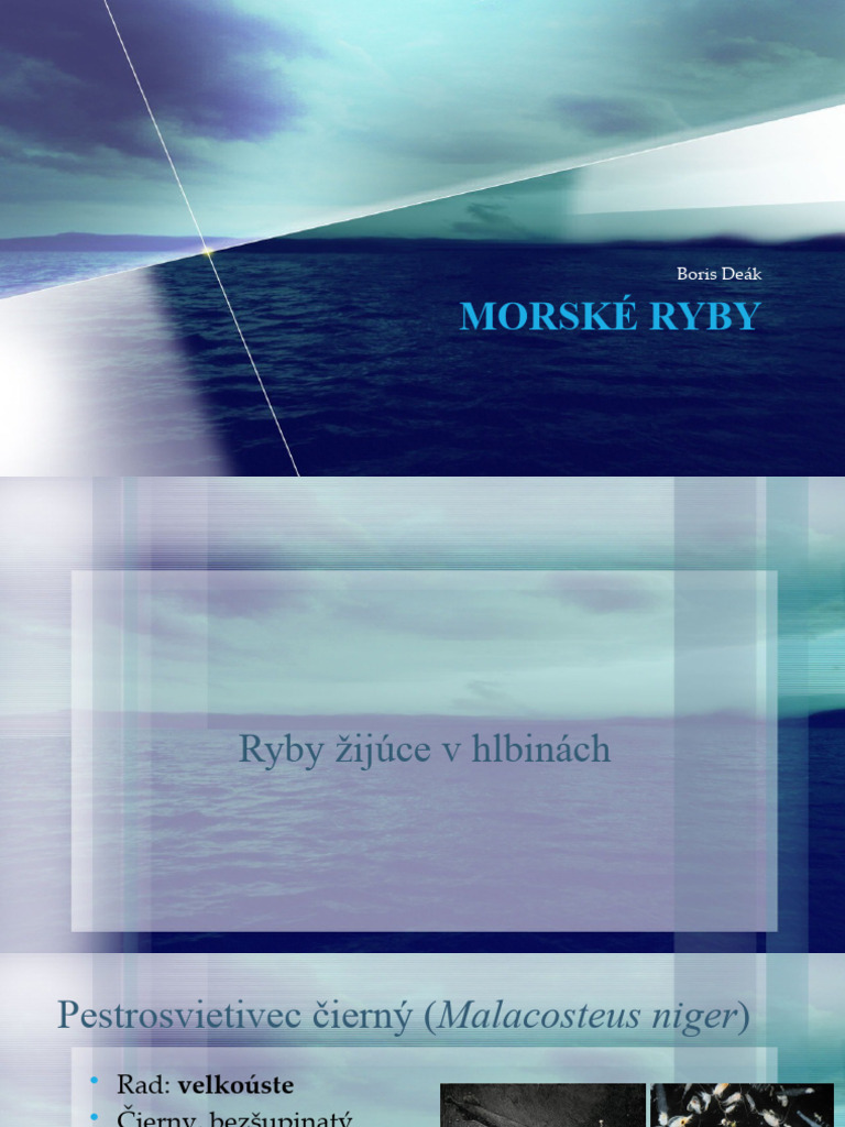 Morské Ryby | PDF