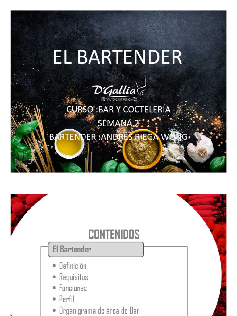 Guía Completa para Bartenders | PDF | Barman | Bar (Establecimiento)