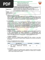 CARACTERISTICAS Vía Colectora | PDF | Calle | Transporte de tierra
