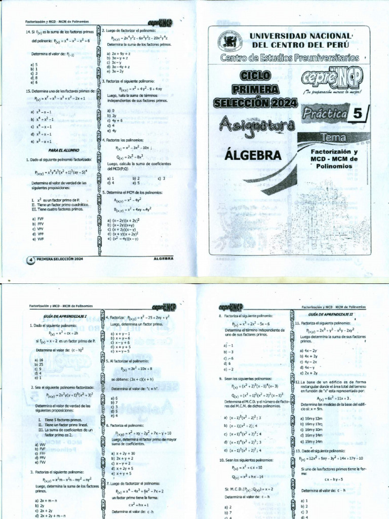 Álgebra 05 Ps | PDF