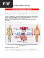 8th Grade Circulatory System Overview | PDF | Social Science | Wellness