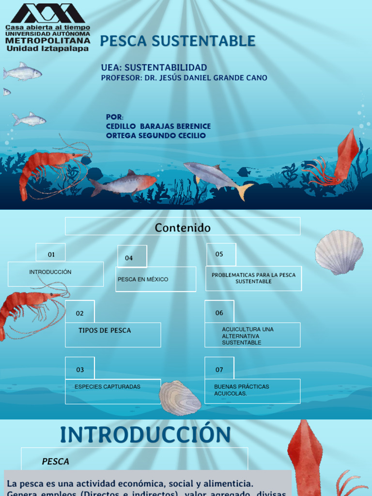 Pesca sustentable | PDF