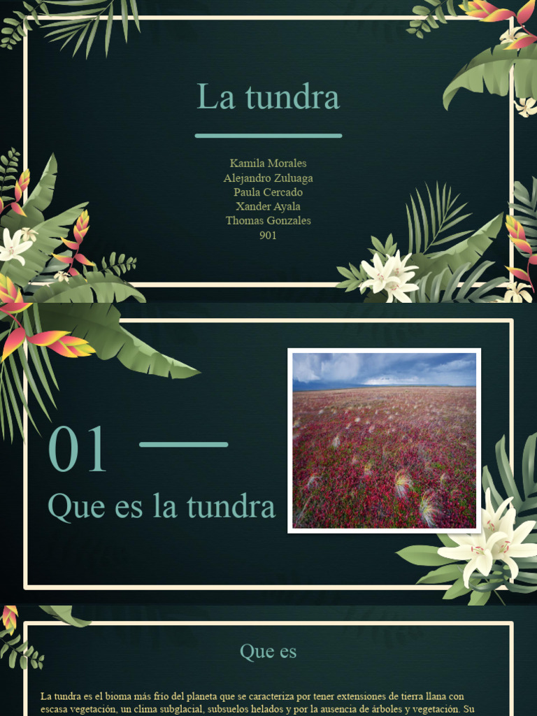 biologia-tundra | PDF | Ciencias de la Tierra | Geografía Física