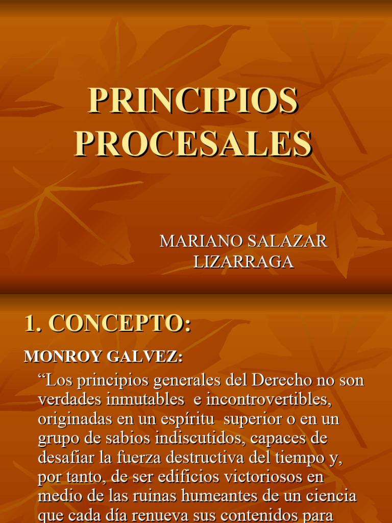 Principios Procesales | PDF | Ley procesal | Jurisdicción