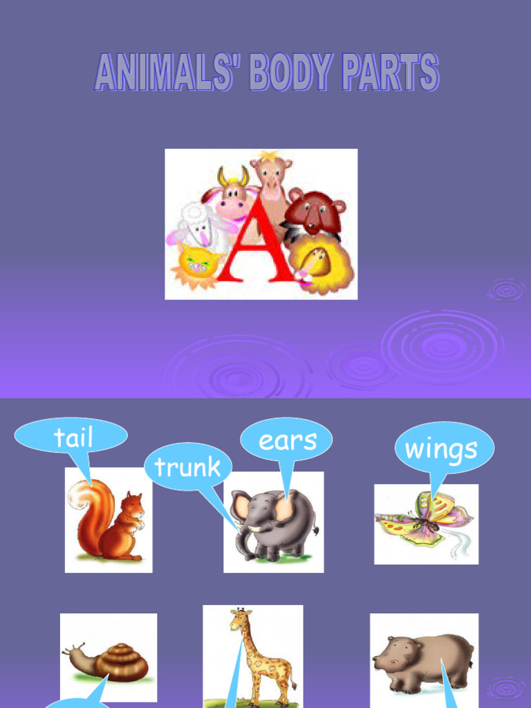 Animals Body Parts | PDF | Language Arts & Discipline