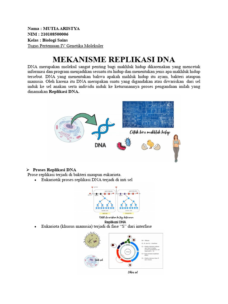 Mekanisme Replikasi DNA Eukariotik dan Prokariotik | PDF