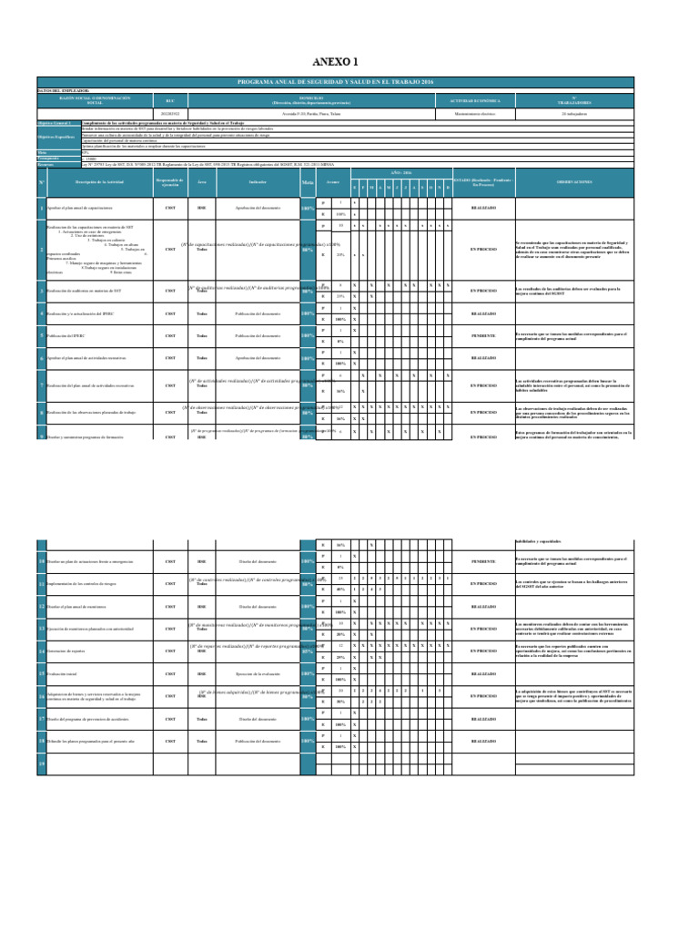 Programa Anual de SST (Objetivos Trabajo) | PDF
