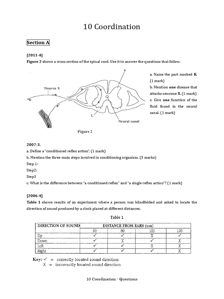 10 Coordination Notes Pdf Nerve Nervous System