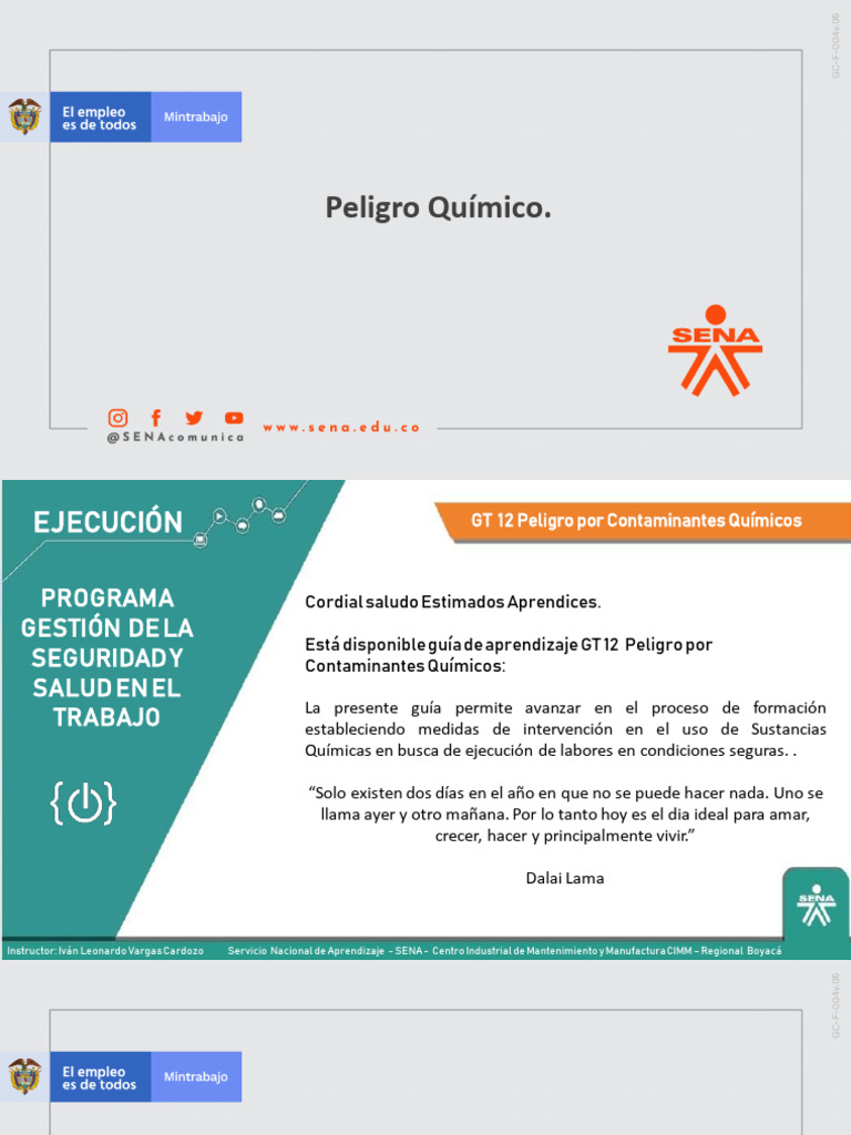 Presentación Peligro Químico | PDF | Pesticida | Química