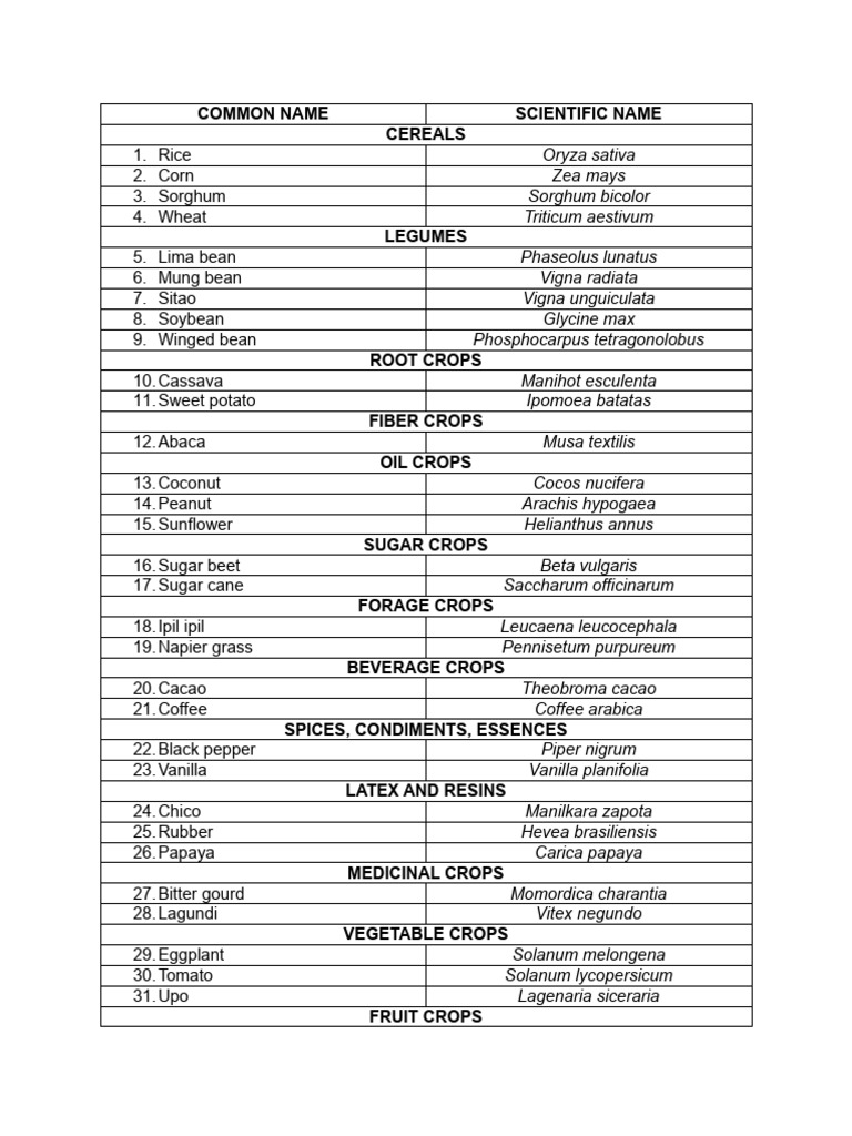 Crops and Their Scientific Names | PDF | Crops | Bean