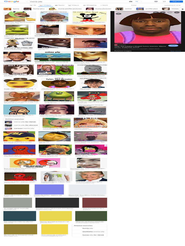 Meme PFP - Google Search | PDF | World Wide Web | Internet & Web