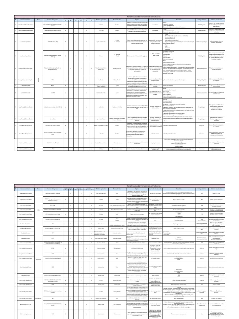 MATRIZ INSTRUMENTOS. - Hoja 1 | PDF