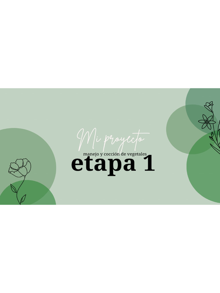 A4 GMFAproyecto I1 | PDF