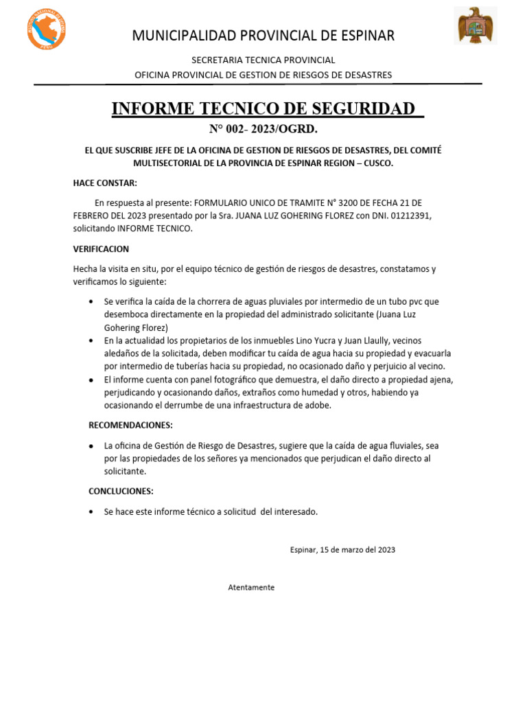 Informe Tecnico Juana Luz | PDF