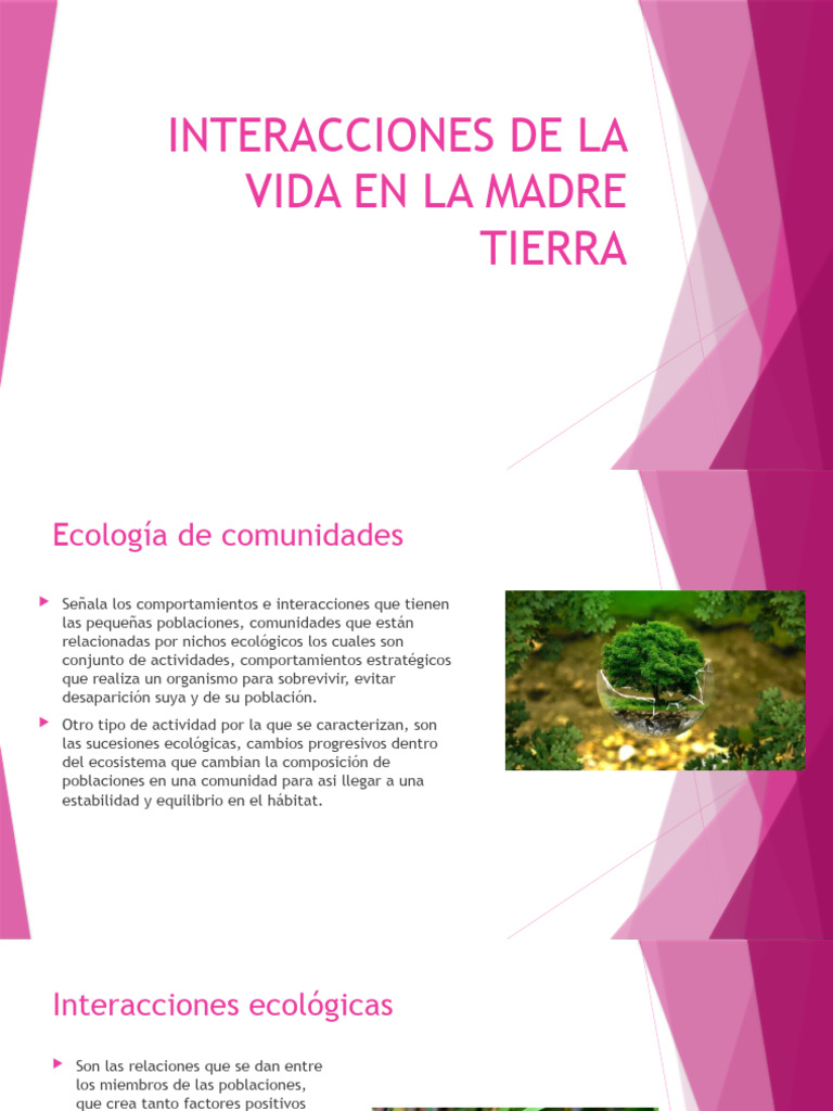Interacciones de La Vida en La Madre Tierra | PDF