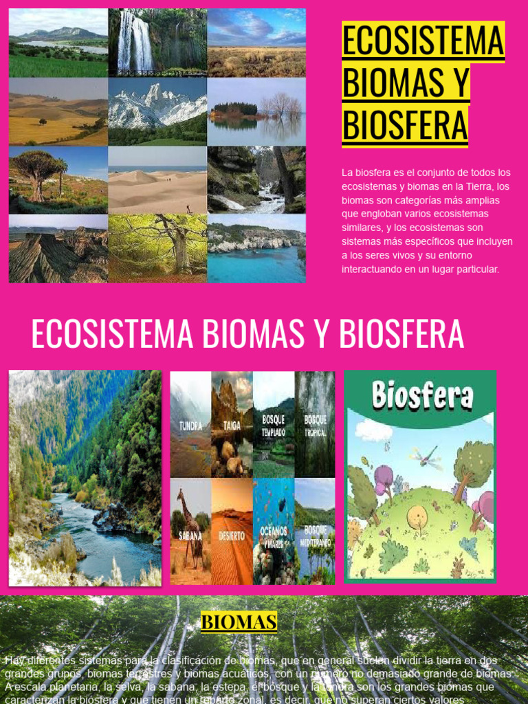 Ecosistemas Biomas y Biosfera | PDF