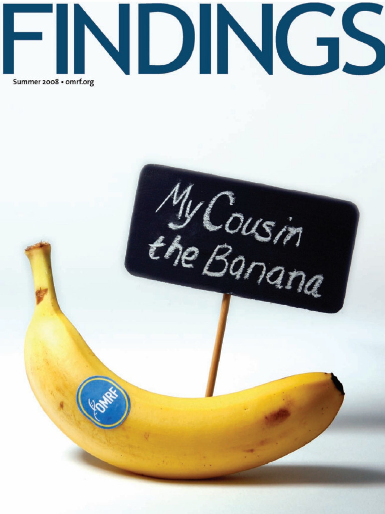Findings | PDF Findings | PDF