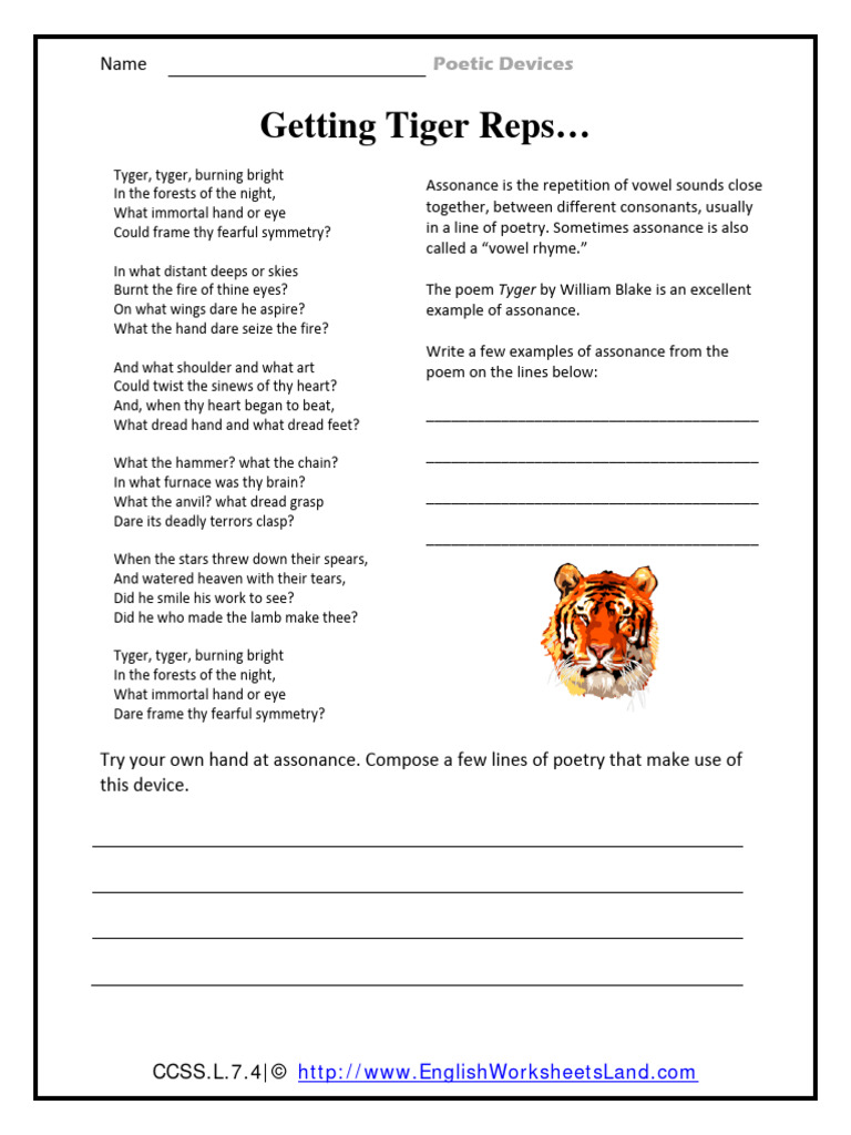 Assonance in Blake's "Tyger" Poem | PDF