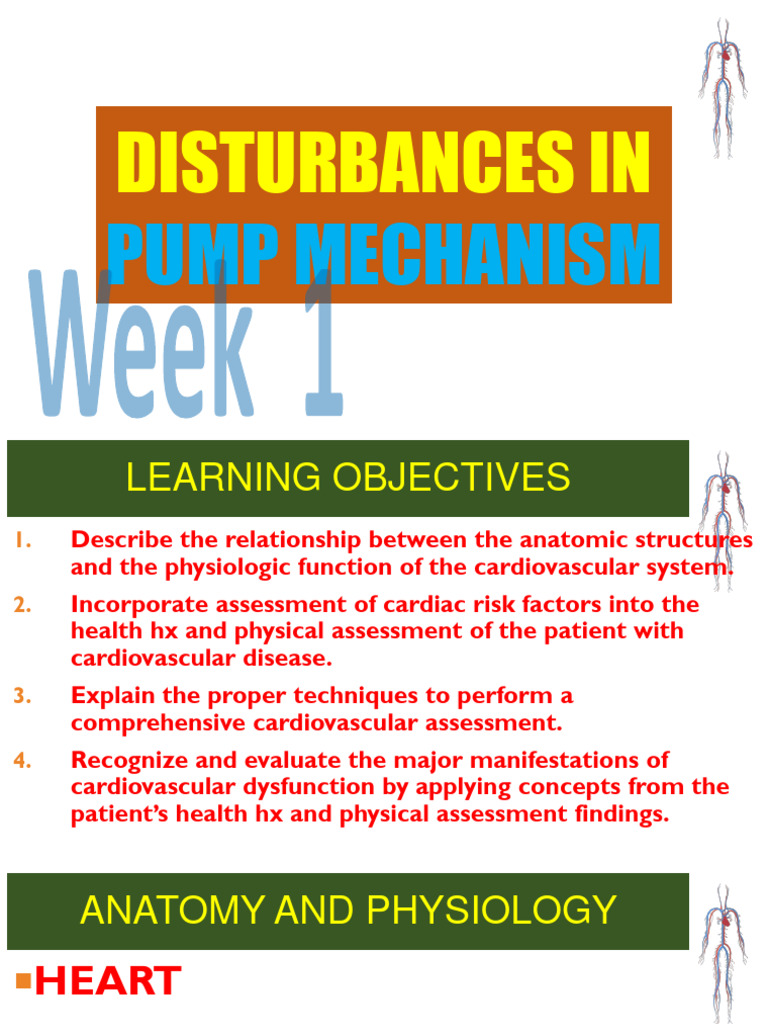 WK1 Disturbances in Pump Mechanism - Anatomy - Stress Test | PDF