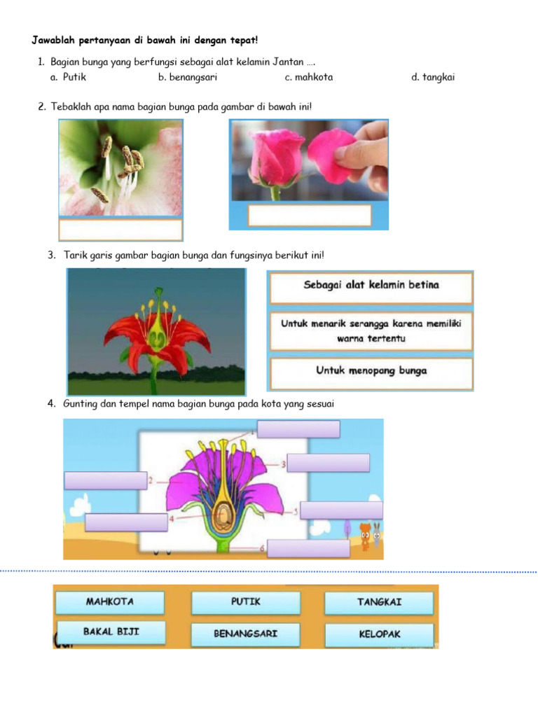 LKPD Bagian Bunga | PDF