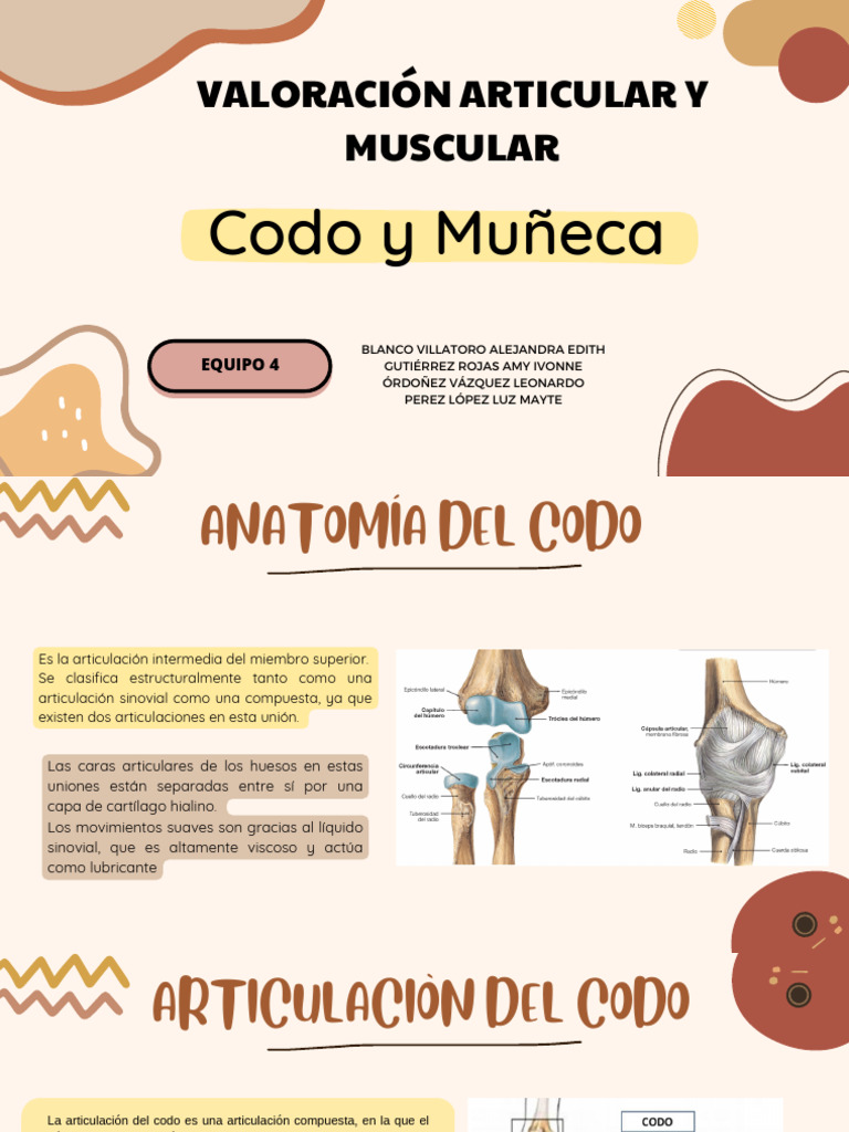 Codo y Muñeca - 1 | PDF | Codo | Articulación