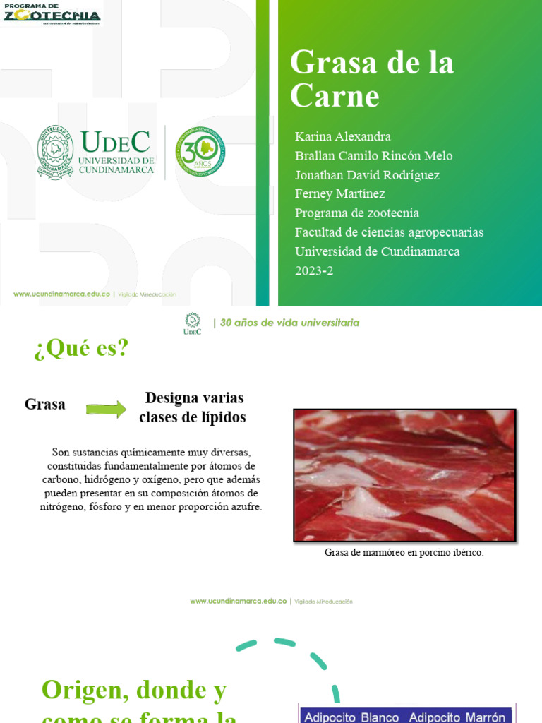 Lípidos en la Grasa de la Carne | PDF | Lípido | Triglicéridos