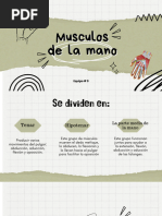 Músculos de la eminencia tenar y hipotenar | PDF | Mano | Anatomía humana