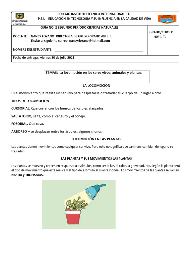 Guía No. 2 de Ciencias 2° Período | PDF | Aves | Ala