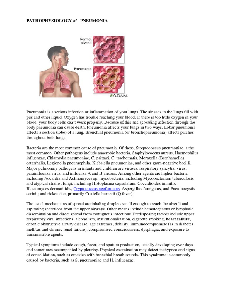 Pa Tho Physiology of Pneumonia | PDF | Pneumonia | Microbiology