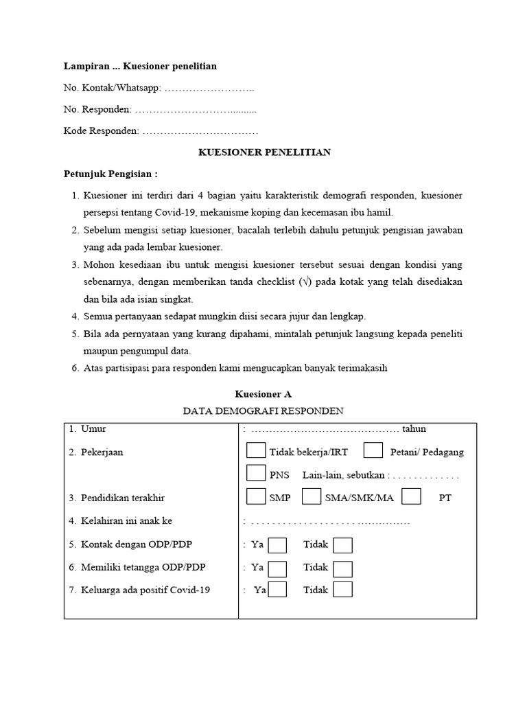Kuesioner Data Demografi Responden | PDF