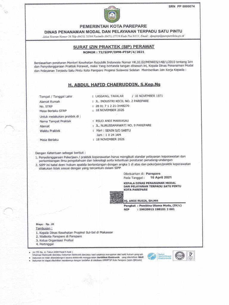 Data Sipp Perawat | PDF