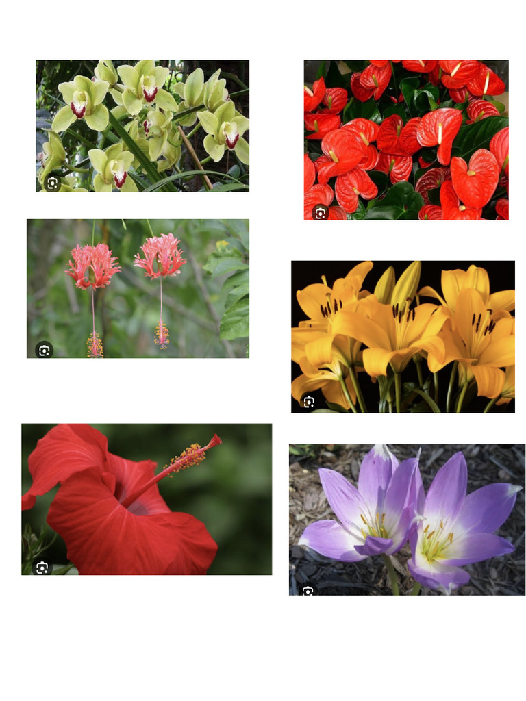 Ragam Hias Flora | PDF