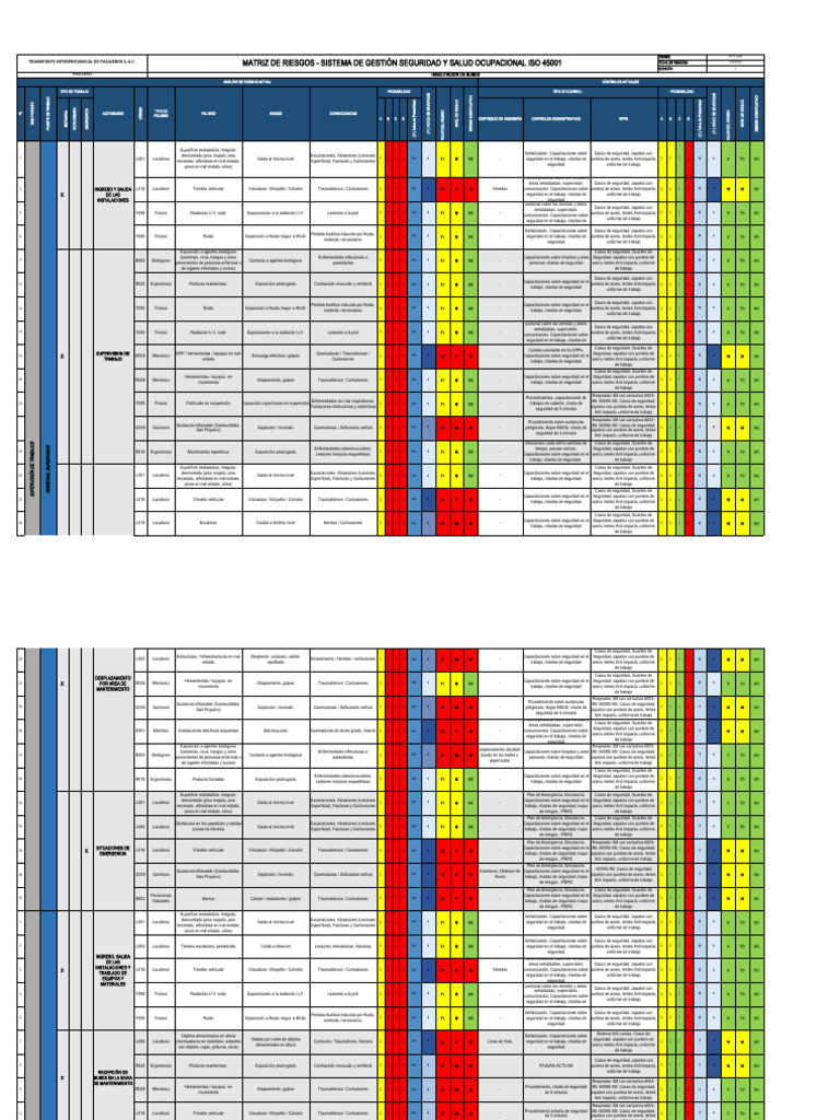 Ejemplo Matriz IPER-completo (1) | PDF | ruido | Medicina