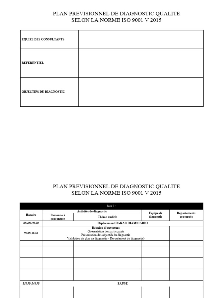 Exemple de Plan de Diagnostic | PDF