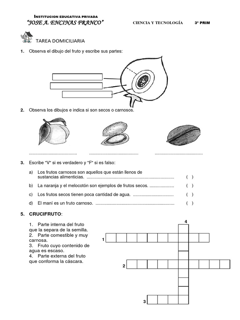 El Fruto Practica | PDF