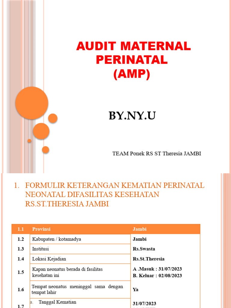 Audit Maternal Perinatal - MP | PDF