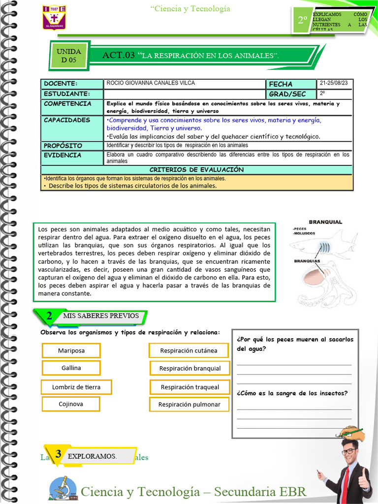 Act 3 Cyt Unid 5 - Sem 2 | PDF | Respiración | Branquia