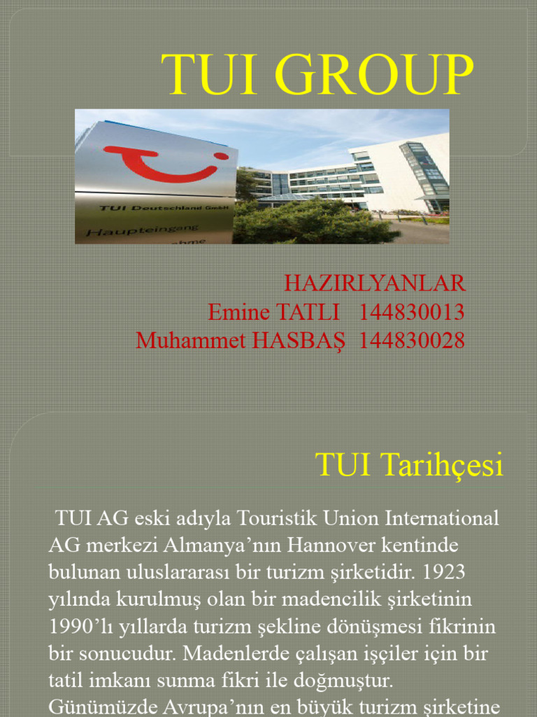 Tuı Group | PDF