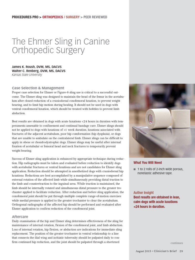 Ehmer Sling Application in Dogs | PDF | Hip | Skeletal System