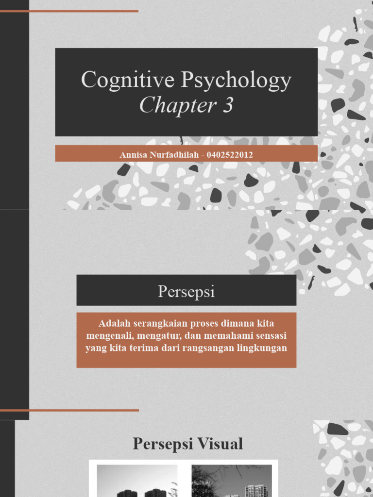 Persepsi Visual | PDF